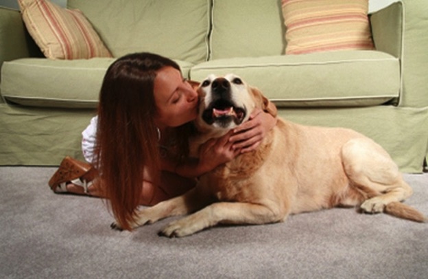 Welcome to Ben-Jee Kennel of Tylersport, PA